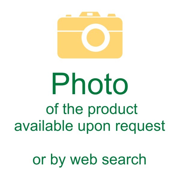 Eric Drachman Book CD Frog Thing Ellison The Elephant Leo Lightng Bug ...