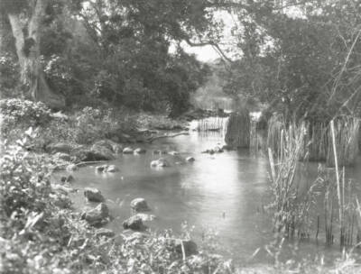Pool at Entebbe Uganda 1899 OLD PHOTO | eBay Australia