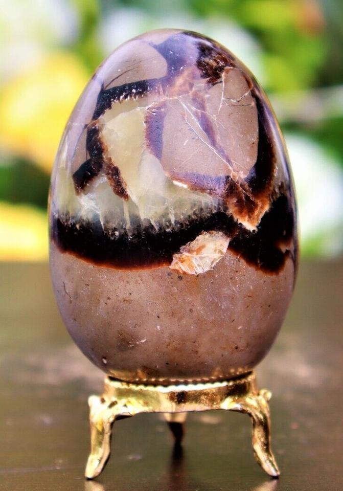 70MM Yellow Septarian Egg Septaria Septeyre Chakra Crystal Healing ...