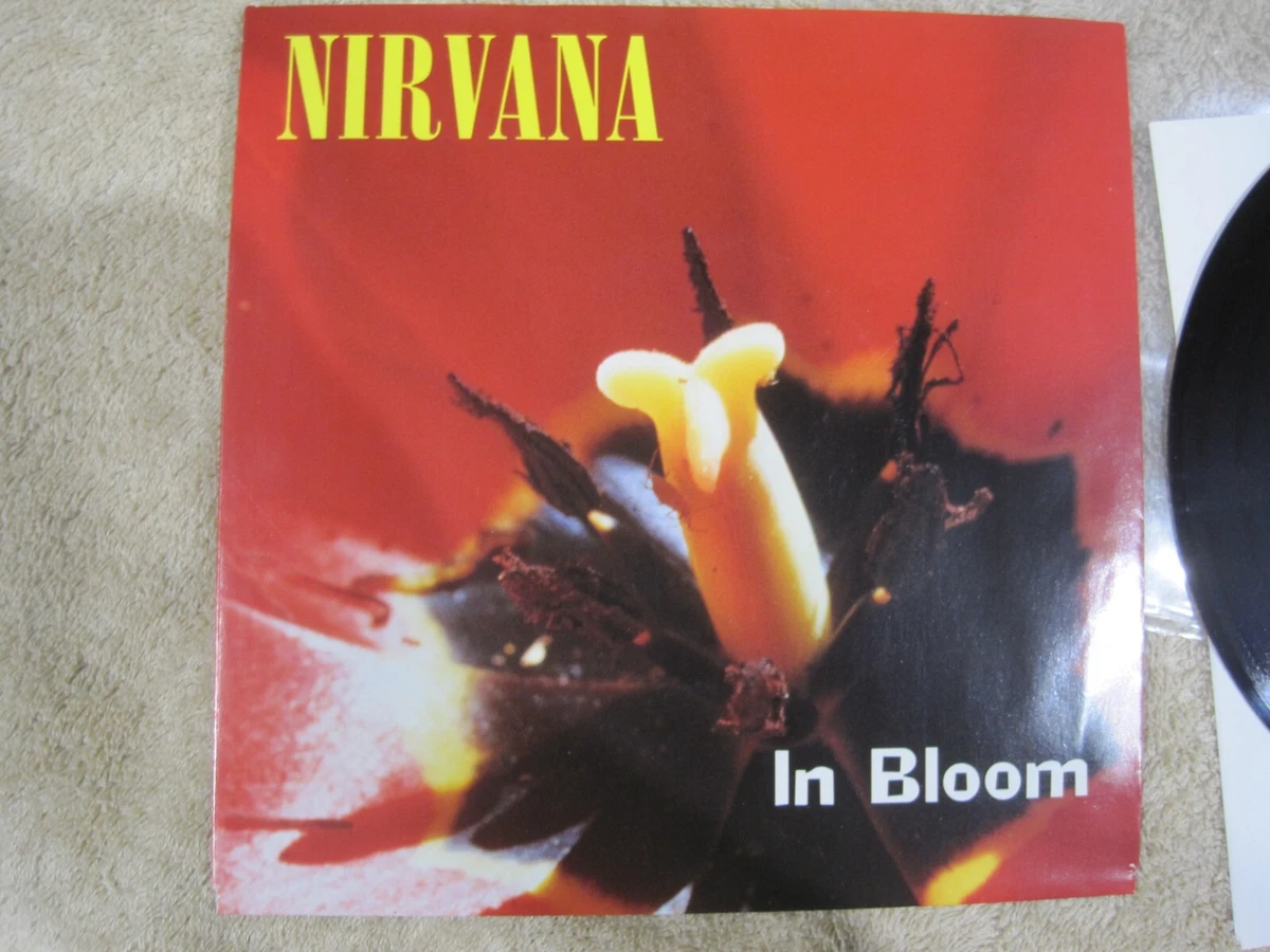 Nirvana In Bloom Single