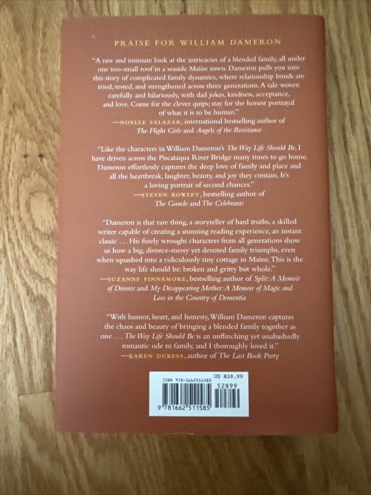 Way Life Should Be : A Novel by William Dameron (2023, Hardcover) for ...