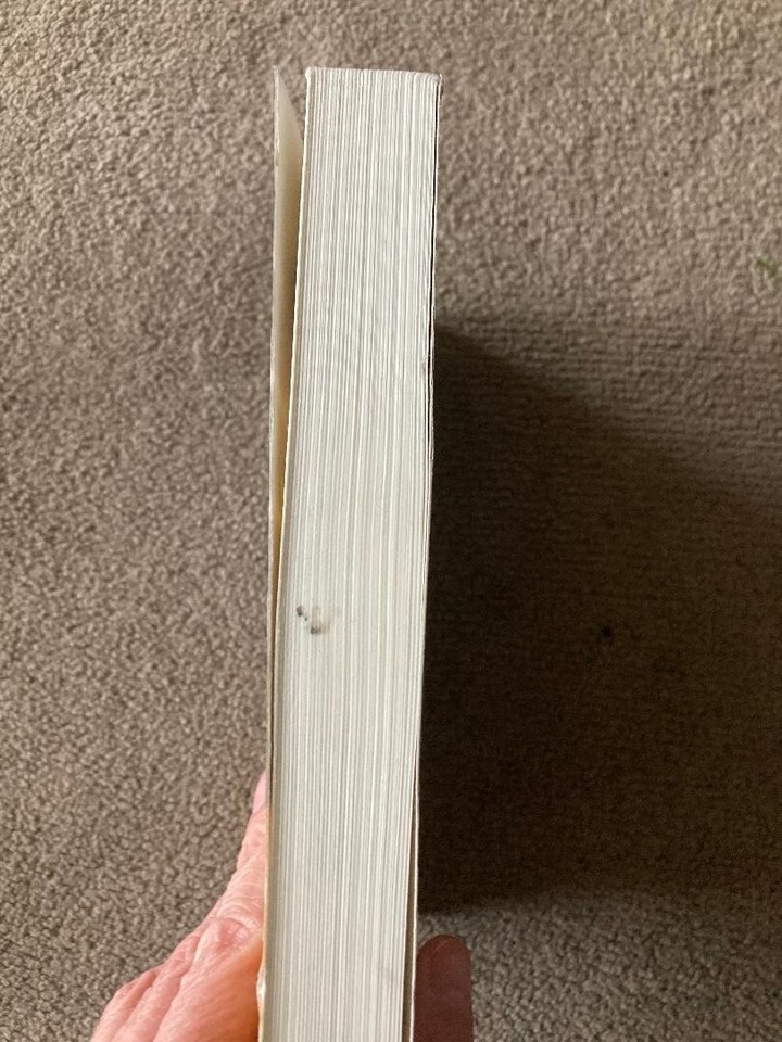 Joe Thompson Sleevenotes Pomona Books 2019 Good condition Hey Colossus ...