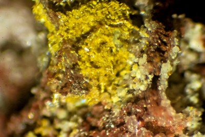 Macquartite (Type/OnlyLoc), Mammoth St.Anthony Mine, Tiger, Arizona ...