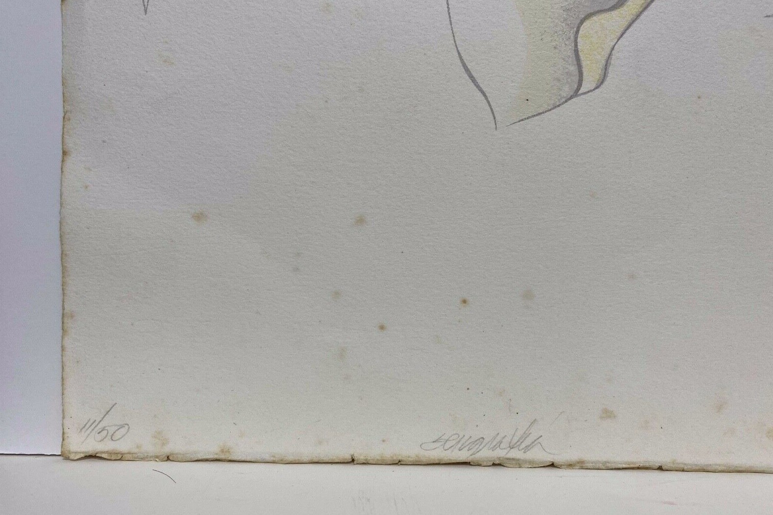 Lyzette Rosado, Pink Flowers in Bloom, Serigrafía, Puerto Rico, 22" x ...