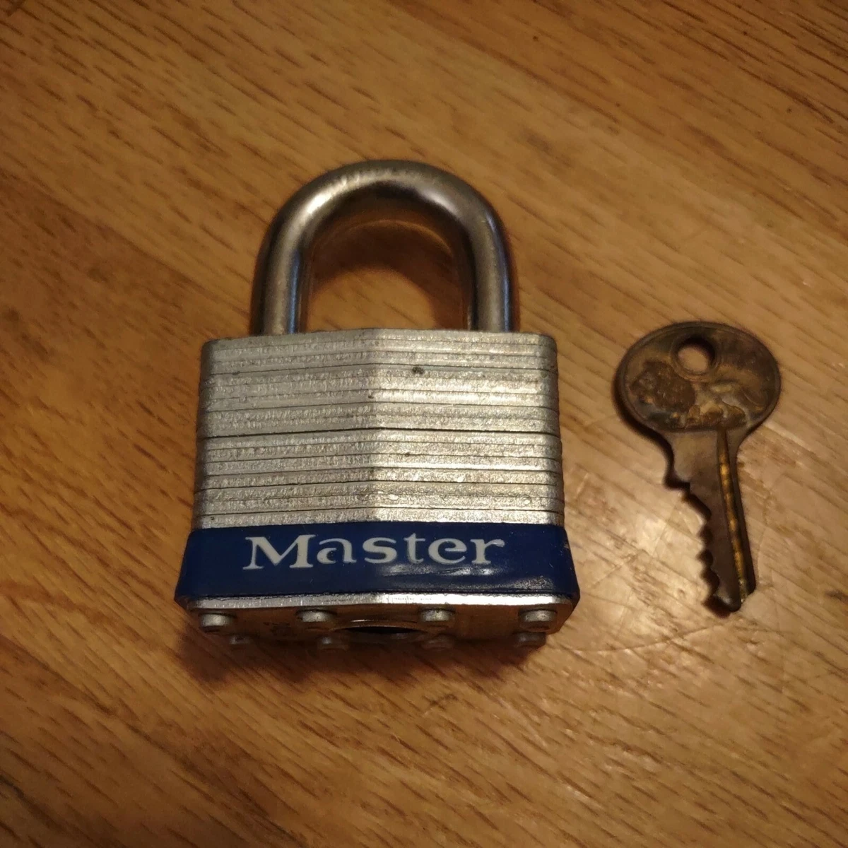 Lion Master Locks With Keys