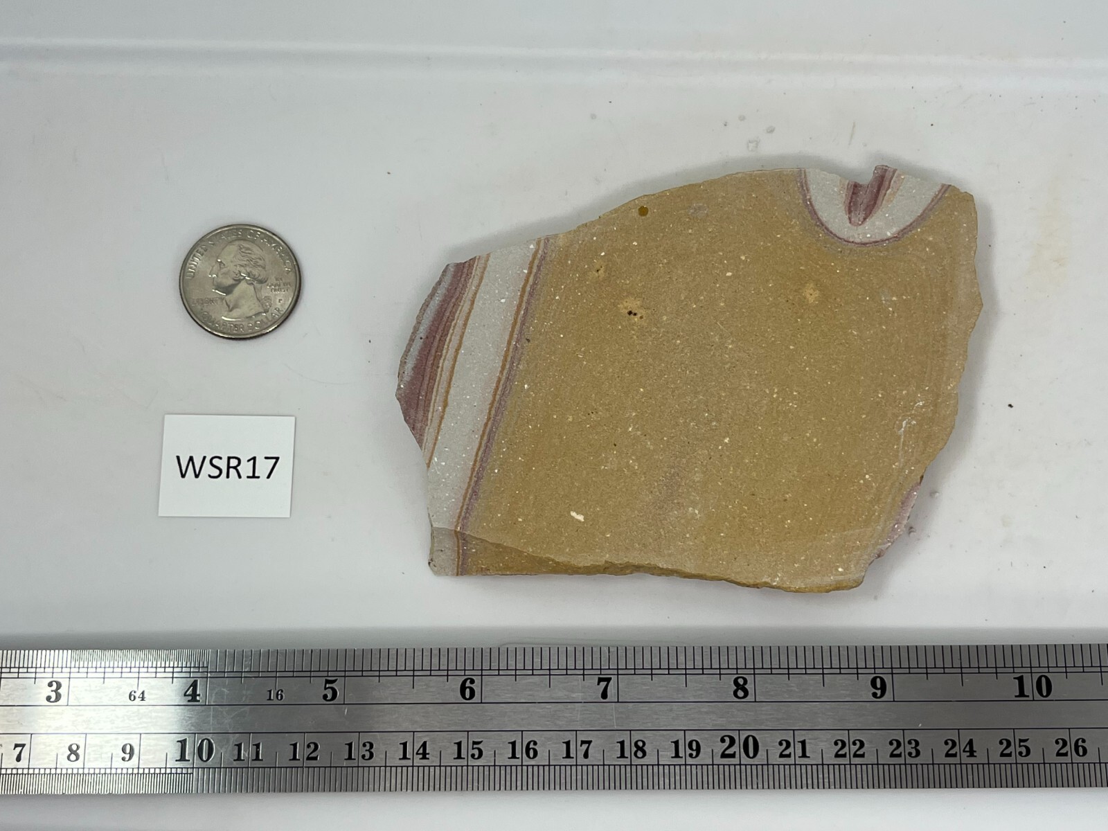 Wonderstone Rhyolite Slab for cabbing carving Chakra Reiki from Utah | eBay