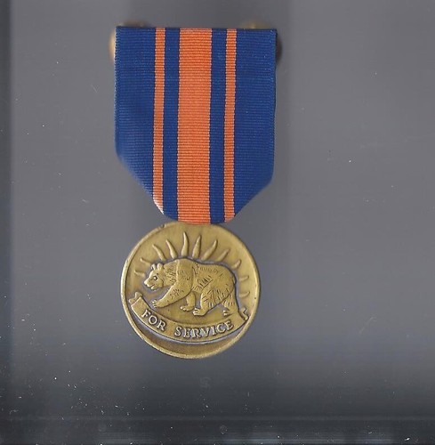 California CA National Guard Service Award medal showing Bear | eBay