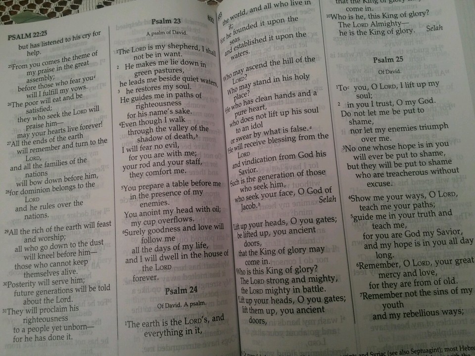 84 NIV GIANT PRINT Bible - BRAND NEW Bible 1984 New International ...