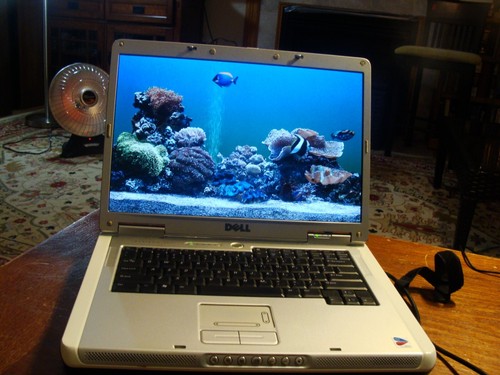 Dell Inspiron 6000 Laptop Intel Pent M 1.6Ghz 512MB Ram 120GB HDD Win ...