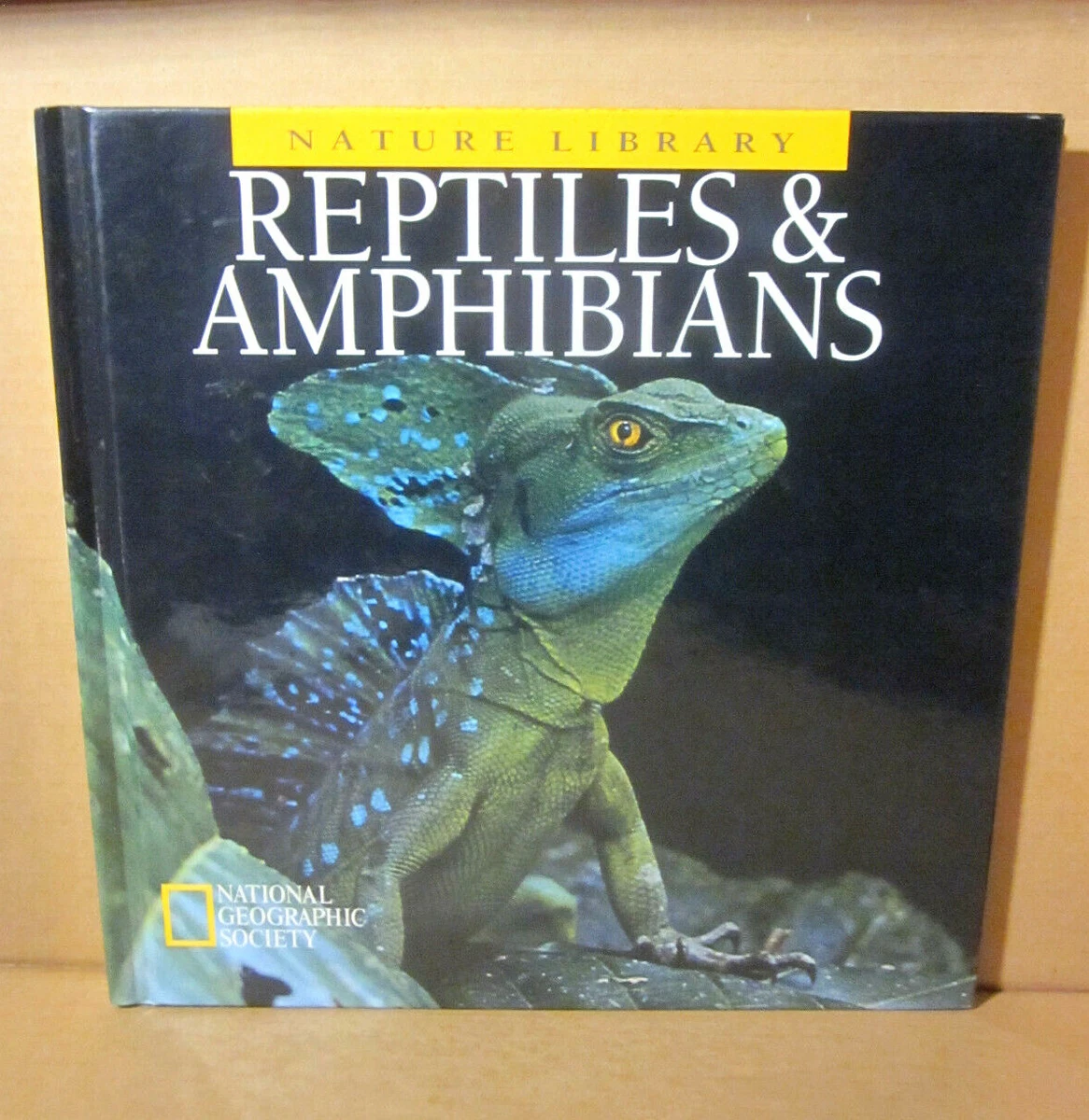 Reptiles And Amphibians Book