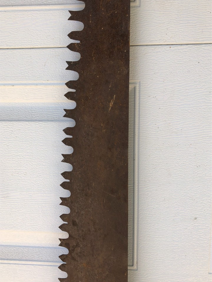 66" Antique 2 Man Wide Blade Crosscut Saw Logging Lumberjack With ...