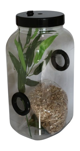 Stick Insect,Leaf Insect,Praying Mantis Multi Vented Habitat,Enclosure ...