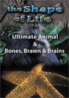 The Shape of Life: Ultimate Animal/Bones, Brawn and Brains (DVD) Peter ...