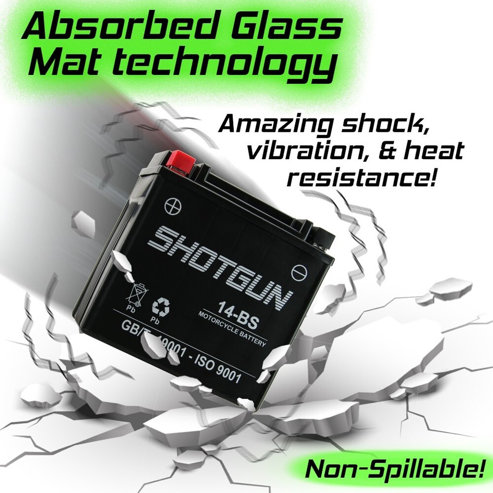 Shotgun YTX14-BS High Performance - Maintenance Free - AGM Motorcycle ...