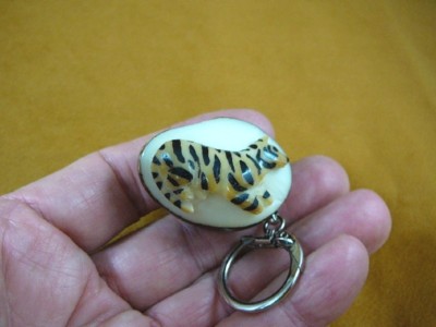 TNE-TIG-484-B) Tiger TAGUA NUT Figurine KEYCHAIN key love striped ...