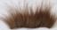 Funny fake eyebrows, costume eyebrows, monobrow, unibrow, zoom fancy ...