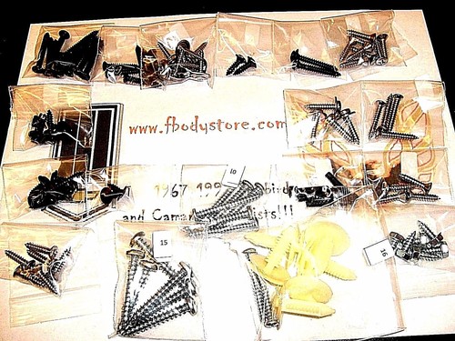 1970-81 FIREBIRD & TRANS AM INTERIOR INSTALL KIT - TRIM SCREWS ...