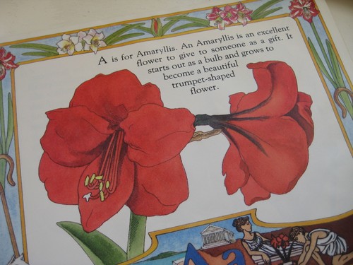 1988 vtg The Flower Alphabet book by Jerry Pallotta Leslie Evans kid ...