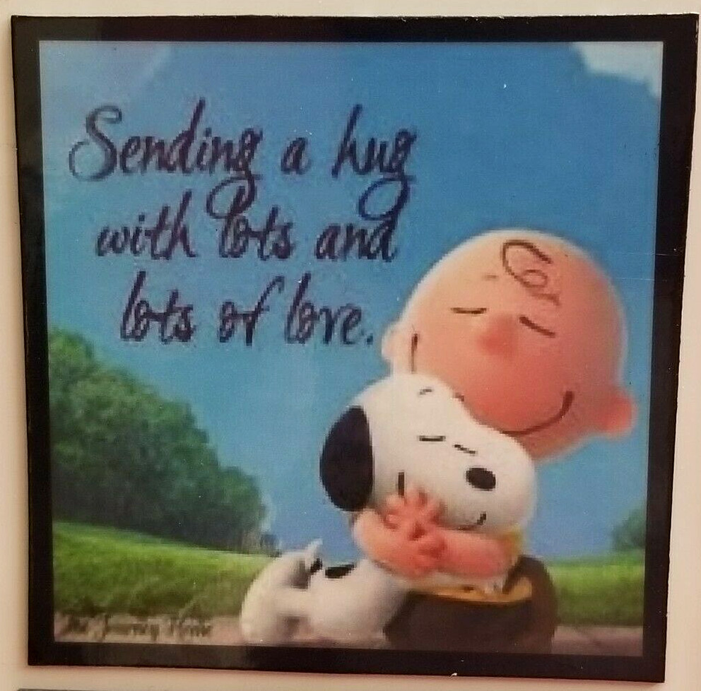 Snoopy The Cat I Need Hugs