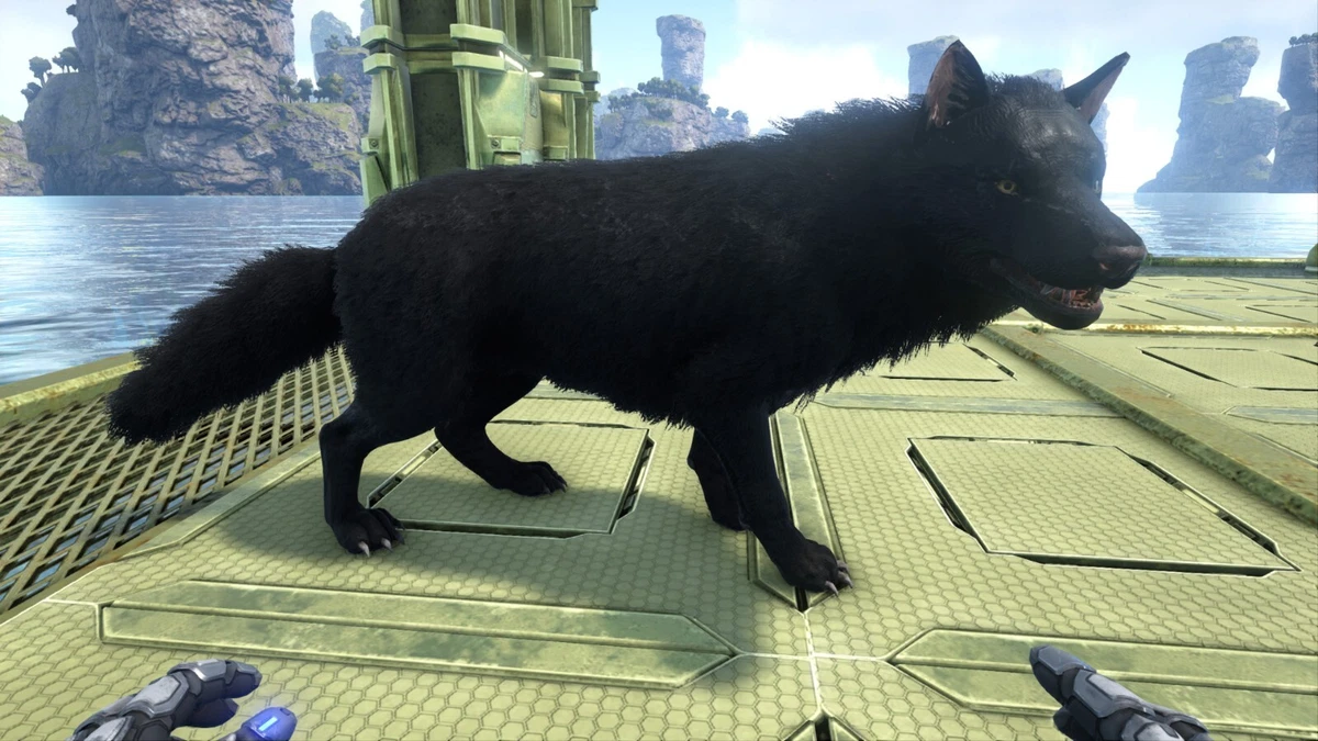 Black Dire Wolf
