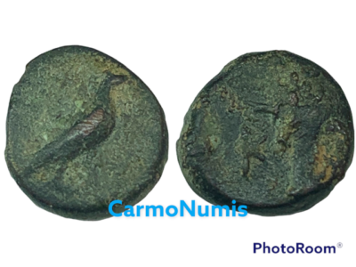 Eolide, cymé, media unit, C. 400-300 B.C. [gre_76] | eBay