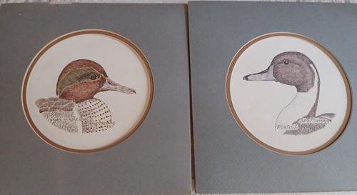 2 Matted Vintage Gene Murray Lithographs "Pintail" & "Green Winged Teal ...