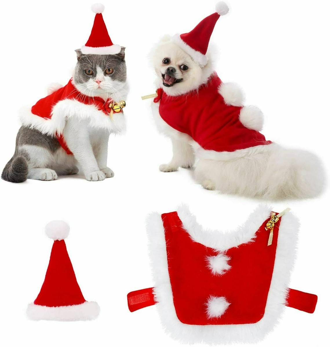 Cats In Christmas Costumes