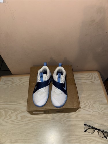 Nike Team Hustle D12 Blue/White – Kids/Youth Shoes Brand New with Box ...