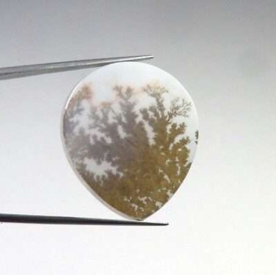 Dendrite Shazar Agate Pear Gems 32x28m Natural shazar Scenic dendrite ...