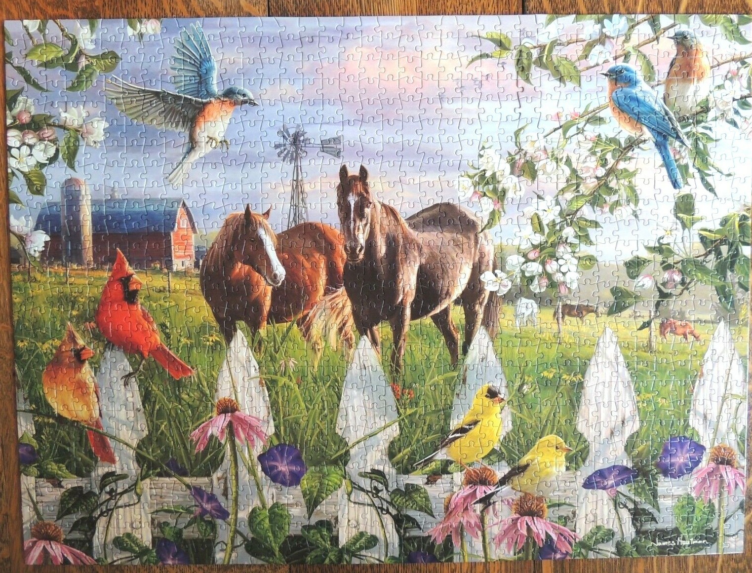 Buffalo Jigsaw Puzzle 1000 Pc Hautman Brothers Evening Meadow 91130 ...