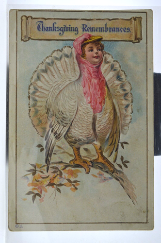 Thanksgiving Fantasy Turkey with Little Boy's Face c1910 Vintage ...