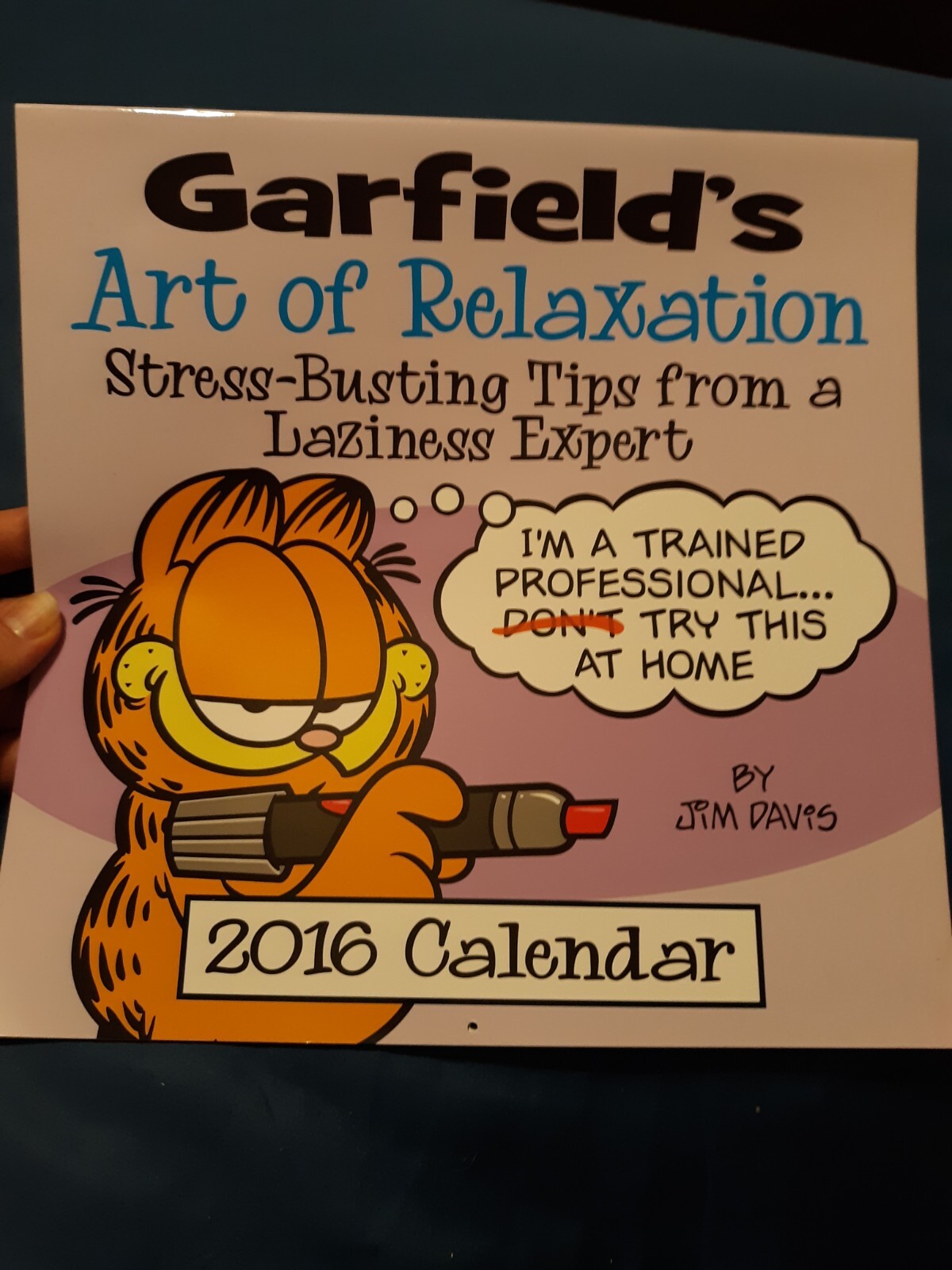 2016 Garfield's Art Of Relaxation 12x12 16 Month Calendar | eBay