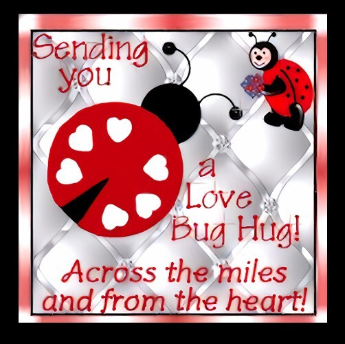 Sending You A Love Bug Hug Across The Miles From Heart - MAGNET | eBay