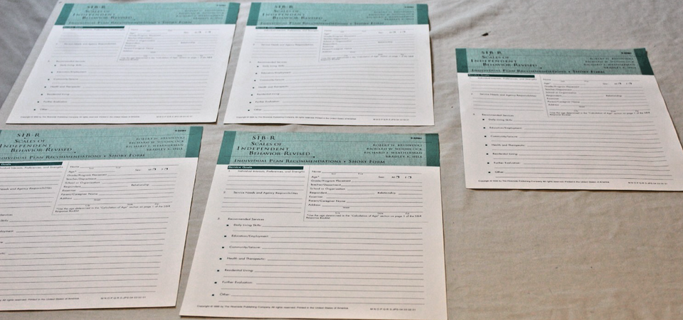 SIB-R Scales of Independent-Behavior Revised Complete Test Kit VGC | eBay