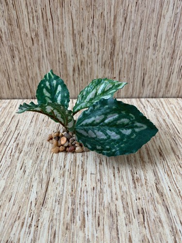 Soft Silk Artificial Mini Pilea Plant With Stone Base 3" Tall - Betta ...