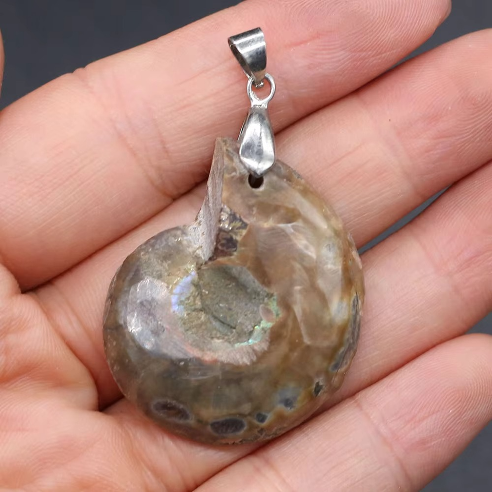 Madagascar Sea Nautilus Ammonite Shell Chain Gemstone Pendant For ...