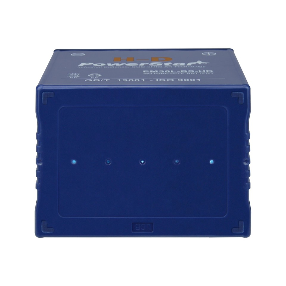 PowerStar Replacement for ETX30LA BTX30L AGM Ready-To-Ride Power Sport ...