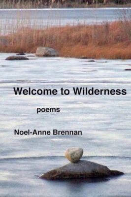 Welcome To Wilderness: Poems 9781507845073| eBay