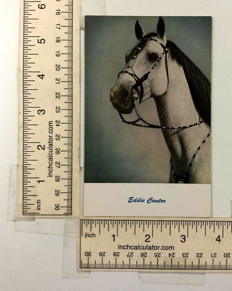 Eddie Cantor White Horse Head Actor Comedian Singer Postcard | eBay