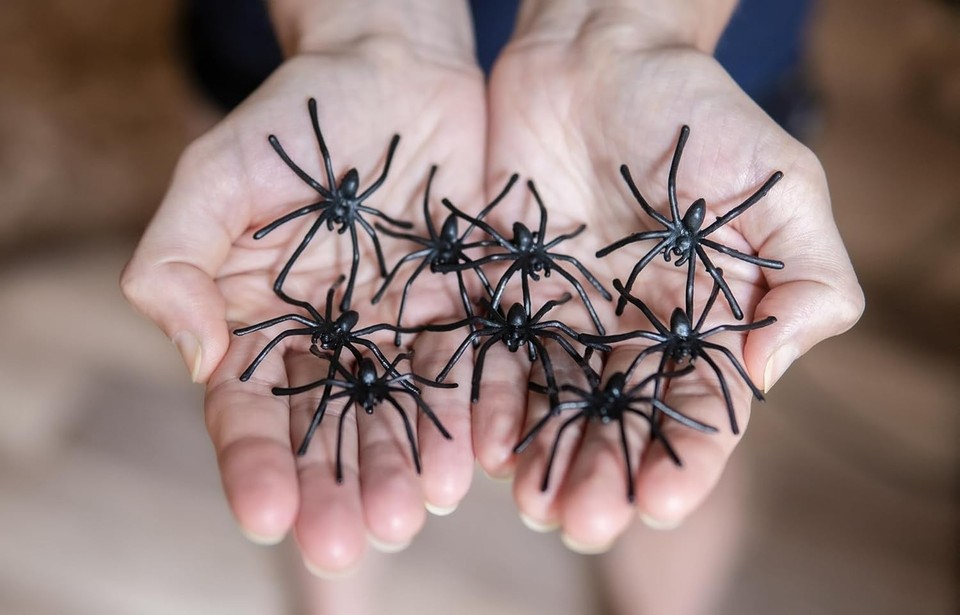 Versatile 200 Sq Ft Halloween Spider Web with Bonus Plastic Spiders ...