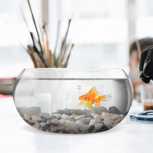 Landscape Small Fish Tank Decorative Goldfish Bowl Office Desktop | eBay