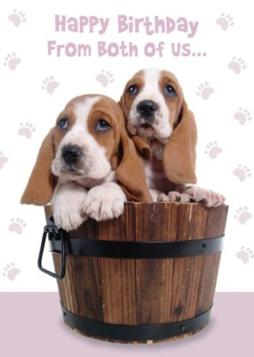 Happy Birthday From Both of Us - Greeting Card - 00748 | eBay