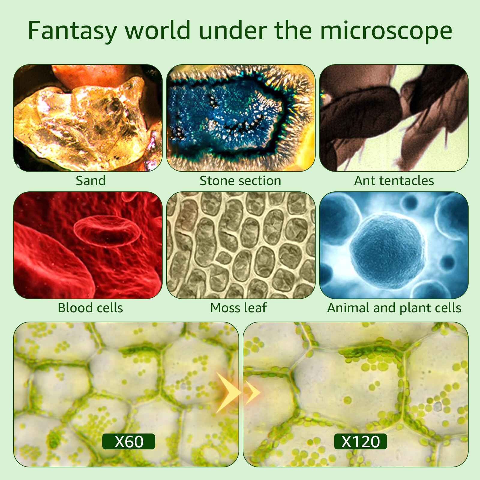 60-120x Pocket Microscope Kids Science Experiment LED Portable Handheld ...