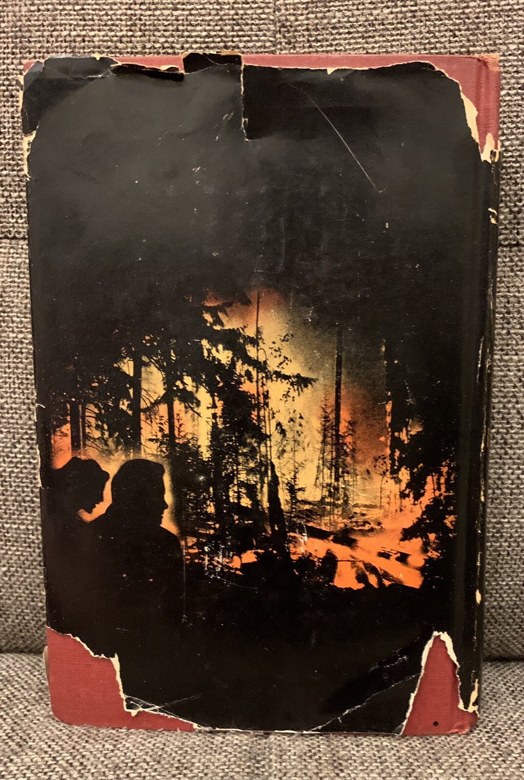 George R. Stewart FIRE First edition 1948 Classic California Forest ...