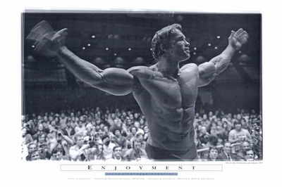 PUMPING IRON Movie POSTER B 24x36 Arnold Schwarzenegger Lou Ferrigno ...