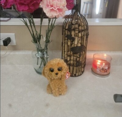 TY Beanie Boos - NOODLES the Goldendoodle Dog (Glitter Eyes) (6 inch ...