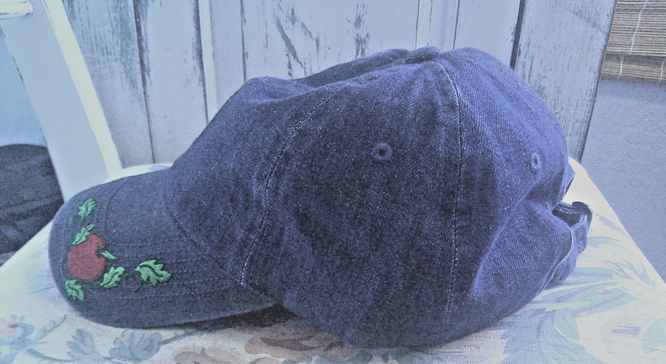 Disney Parks Evil Queen Snow White Poison Denim Apple Hat | eBay