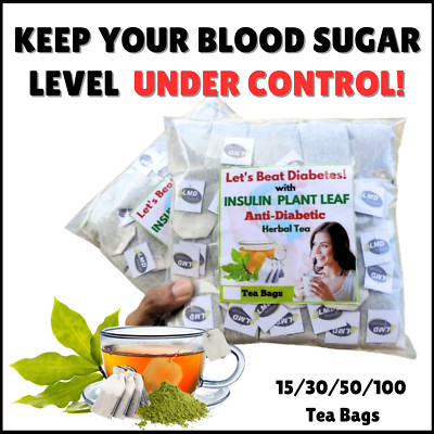 Insulin Plant Leaf Thebu Costus Igneus Tea Bags Diabetic Herbal Organic ...