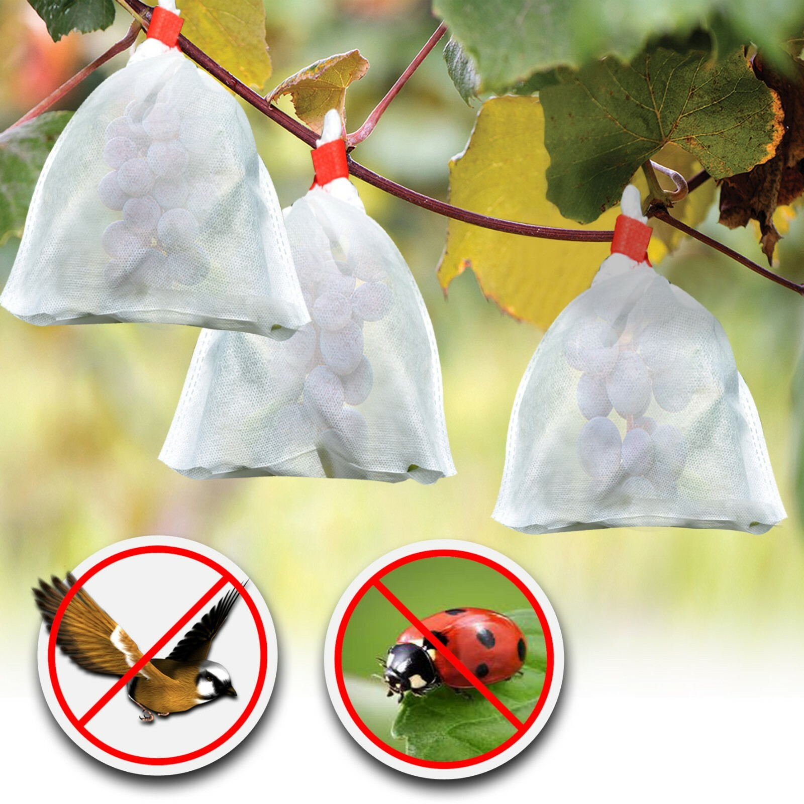 Garden Plant Fruit Protect 100pcs Drawstring non-wove Bag Anti Insect ...
