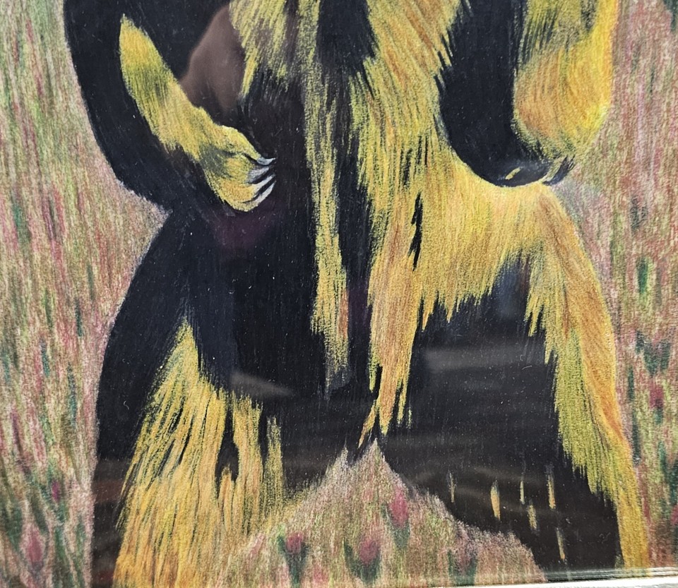 PRISON ART Brown Bear Original Drawing Artwork Framed Colored Pencil | eBay